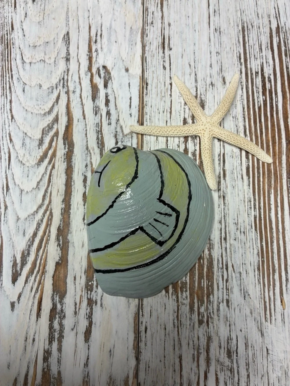 Hand Crafted | Accents | Handpainted Seashell Fish Decor Coastal Beach ...